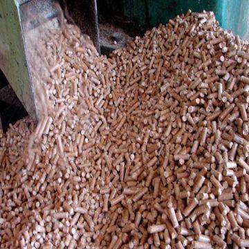 Buy Wholesale India Cattle Feed & Cattle Feed | Global Sources