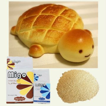 Buy Wholesale China Bakery Yeast - Migo Active Dry Yeast 100g & Bakery ...