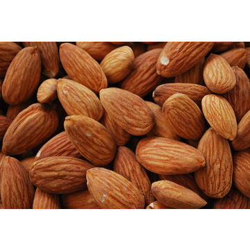 Buy Wholesale Thailand Camel Almonds & Camel Almonds | Global Sources