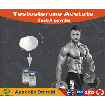 Test-E !!! Testosterone Enanthate powder for homebrew or commercial ...