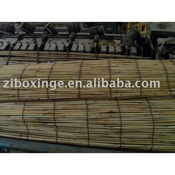 Water Reed - Buy China Wholesale Water Reed | Globalsources.com