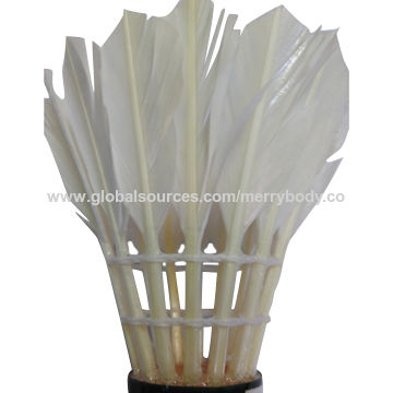 Buy Wholesale China Badminton Shuttlecock & Badminton Shuttlecock ...