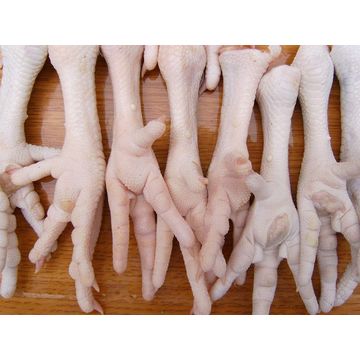Buy Wholesale Thailand Frozen Chicken Feet Paws & Frozen Chicken Feet ...