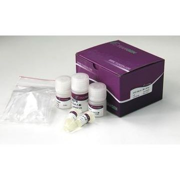 Buy Wholesale China Plant Genomic Extraction Dna Kit 50 Times Molecular ...