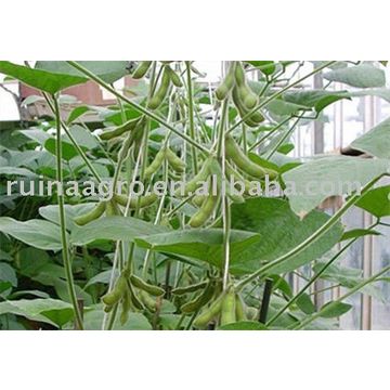 Buy Wholesale China Clethodim 85% Tc,cas 99129-21-2,selective Herbicide ...
