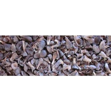 Buy Wholesale Thailand Palm Kernel Shell & Palm Kernel Shell at USD 123 ...