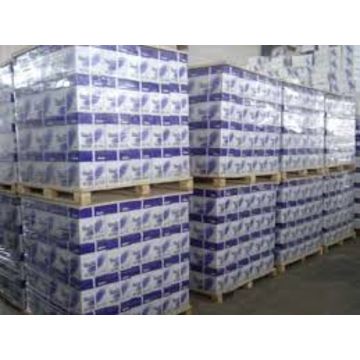 Buy Wholesale Thailand Cheap White 100% Wood Pulp A4 Bulk Copy Paper ...