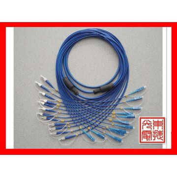 Buy Wholesale China Fiber Optical Patch Cord - 12cores Armored Sm Patch ...