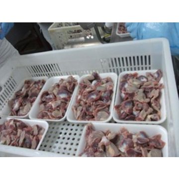 Buy Wholesale United Arab Emirates Frozen/fresh Halal Chicken Gizzards ...