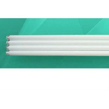 Buy Wholesale China 8ft Fluorescent Lamp & 8ft Fluorescent Lamp ...