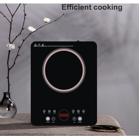 Buy Wholesale China Portable Multifunction Single Induction Cooker ...