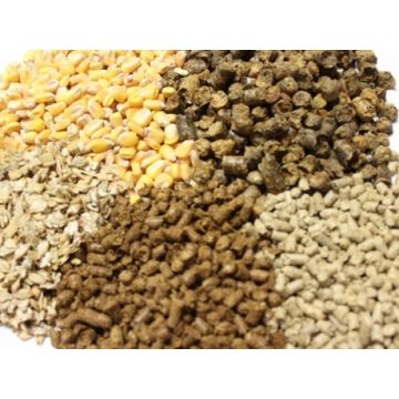 Buy Wholesale Thailand Animal Feeds & Animal Feeds at USD 200. | Global ...