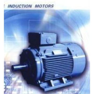 Y2 series electric motor - Y2 Series Three-phase Low Rpm Ac Electric ...