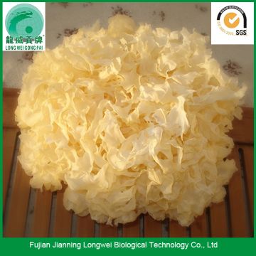 Buy Wholesale China Chinese Dry White Fungus(bai Mu Er) Benefits For ...