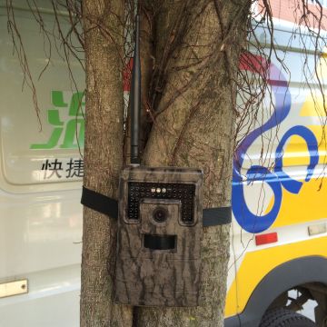 Buy Wholesale China New! 12mp Fhd Wireless Tree Trail Camera For ...