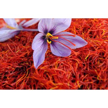Buy Wholesale Iraq Saffron , Best Quality From Iranian Farms & Saffron ...