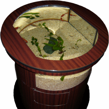 Buy Wholesale Hong Kong SAR Bird's Eye Aquarium - Japanese Table ...