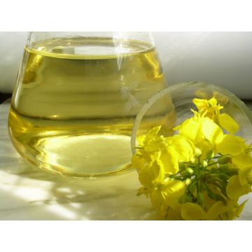 Buy Wholesale Philippines Premium Quality Crude Oils / Refined Canola ...