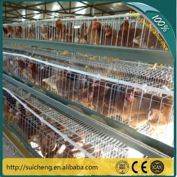 Guangzhou Factory Poultry Equipment Poultry Chicken Cage a Type Chicken ...
