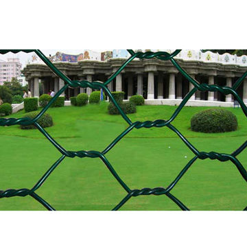 Buy Wholesale China Electronic Galvanized Hex Wire Netting & Electronic ...