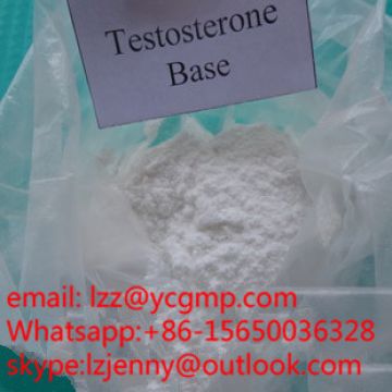 Buy Wholesale China 99% Purity Testosterone Base Steroid Powder & 99% ...
