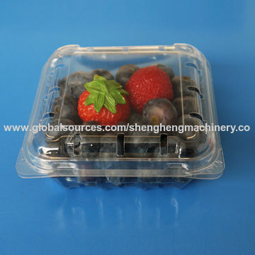 Buy China Wholesale High Quality Plastic Blueberry Container 125 Grams ...