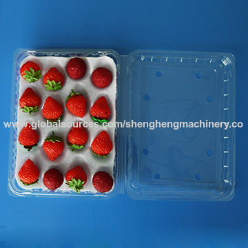 Plastic Fruit Packaging Container For All Kind Of Fruit 500 Grams With ...