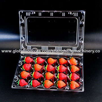 Buy Wholesale China Disposable Plastic Strawberry Packaging Container ...