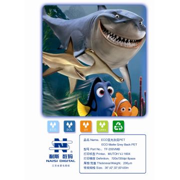 Buy Wholesale China Eco Grey Back Pet Film & Eco Grey Back Pet Film at ...