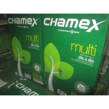 Buy Wholesale Thailand Brazil Origin Chamex Multipurpose Copy Paper ...