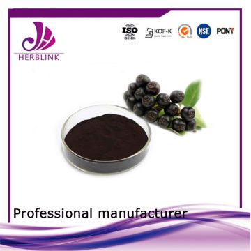 Buy Wholesale China Free Sample Freeze Dried Fruit Aronia Extract ...