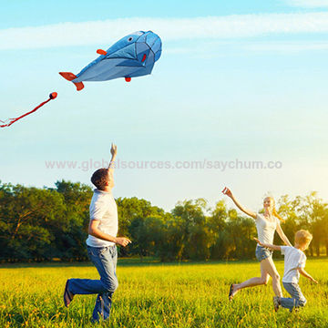 Buy Wholesale China 3d Huge Soft Parafoil Giant Dolphin Kite, Outdoor ...