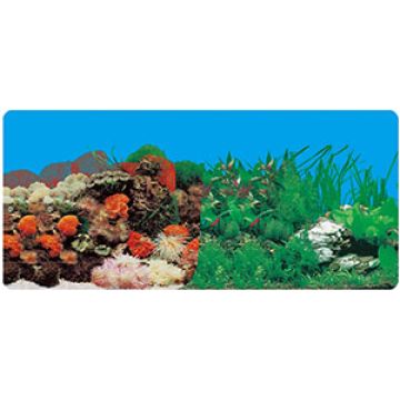 Buy Wholesale China Aquarium Background Paper, Double Sided,fish Tank ...