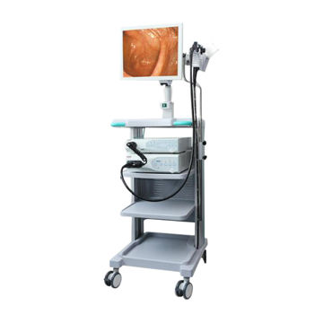 Buy Wholesale China Video Ent Scope With Ccd & Video Ent Scope at USD ...