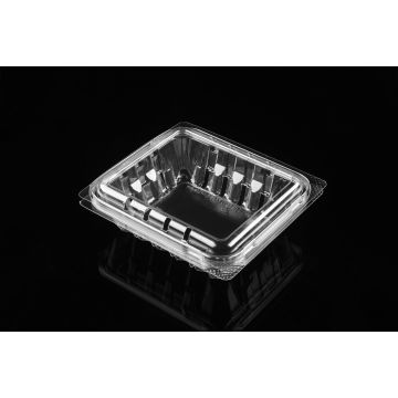 Buy Wholesale Hong Kong SAR 125g Blueberry Punnet For Auto/hand Pack ...