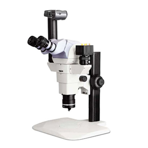 Buy China Wholesale Professional Laboratory Use Study Grade Stereo ...