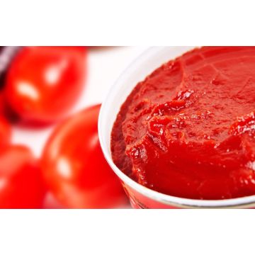 Buy Wholesale Italy Tomato Paste Italian Quality & Tomato Paste Italian ...