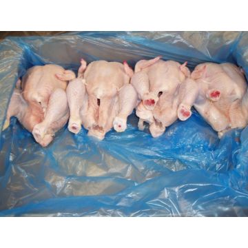 Buy Wholesale Poland Halal Frozen Chicken / Whole Chicken / Parts ...
