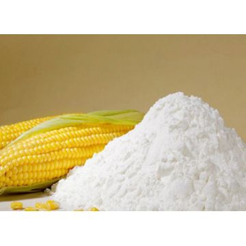 Buy Wholesale India Corn Starch, Maize Starch, Starch & Corn Starch ...