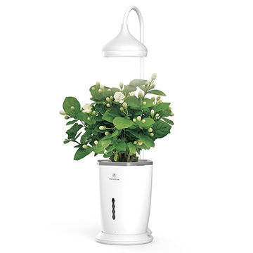 Buy Standard Quality China Wholesale Herb Grow Mini Indoor Hydroponic ...