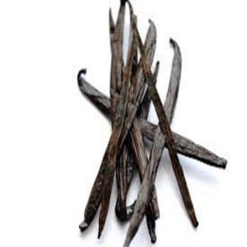 Buy Wholesale Denmark High Quality Pure Black Vanilla Beans & High ...