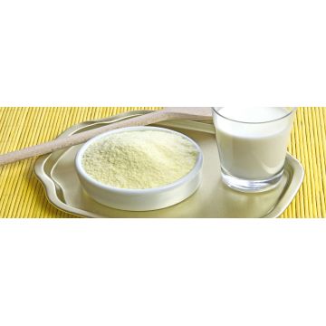 Buy Wholesale Denmark Full Cream Milk Powder, Skimmed Milk Powder ...