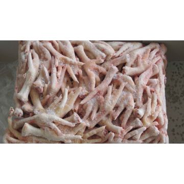 Buy Wholesale Hungary Frozen Chicken Feet & Chicken Paws & Frozen ...