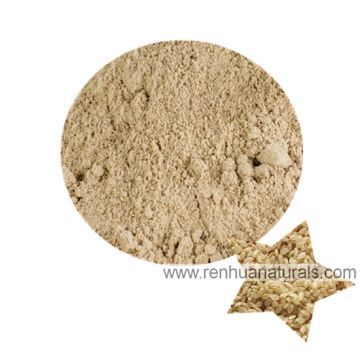 Buy Wholesale China Rice Protein Powder, Brown Rice Protein Powder ...