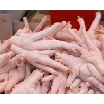 Buy South Africa Wholesale Grade A Halal Frozen Chicken Feet, Paws ...