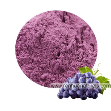 Buy Wholesale China Grape Powder,grape Juice Powder,grape Extract Powder,grape,juice Powder ...