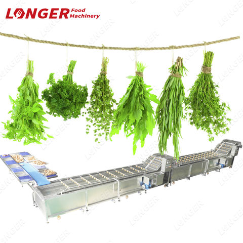 Buy Wholesale China Automatic Fruit And Vegetable Washing Drying ...