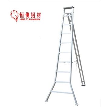 Buy Wholesale China 10 Steps 3.30meters Welding Aluminum Ladders ...