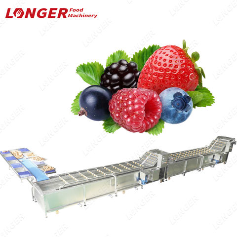 Buy Wholesale China Industrial Berries Fruits Washing Line Blueberry ...