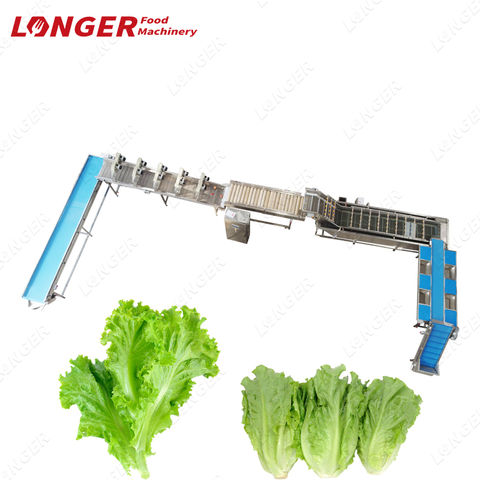 China Fully Automatic Lettuce Washing Processing Equipment Lettuce ...